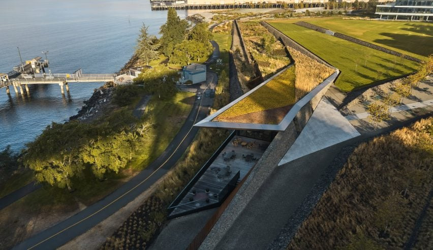 *커다란 날개형상을 구현한 오피스 [ Aidlin Darling Design ] Biophilia informs design ...