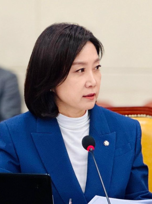 허은아 국회의원 프로필 남편 이준석 갈등 결혼 가족 개혁신당 대표 가처분