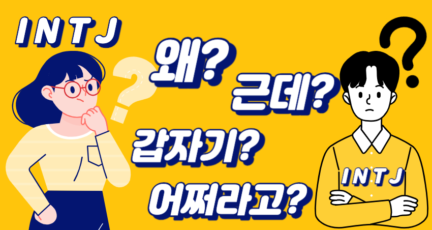 INTJ모든것 INTJ성향,특징,INTJ사랑,직업,INTJ팩폭