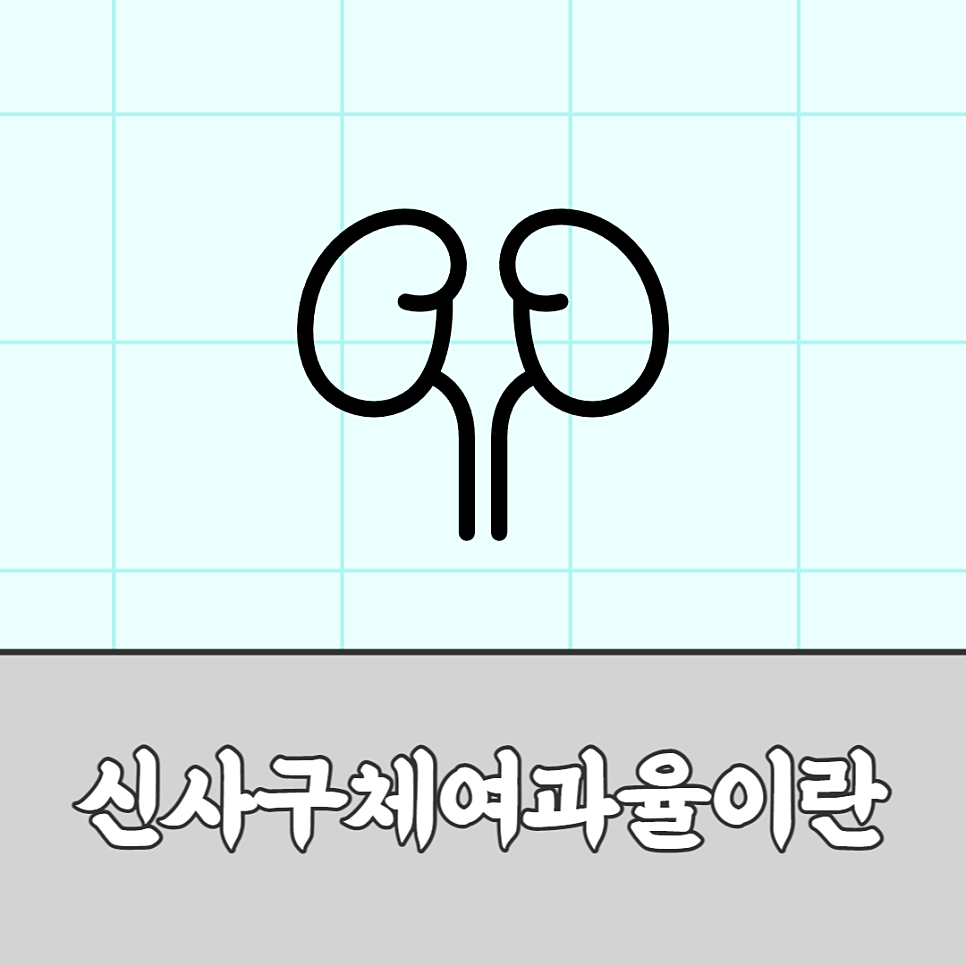 신사구체여과율 뜻과 신사구체여과율 수치에 따른 증상 알아봤어요~