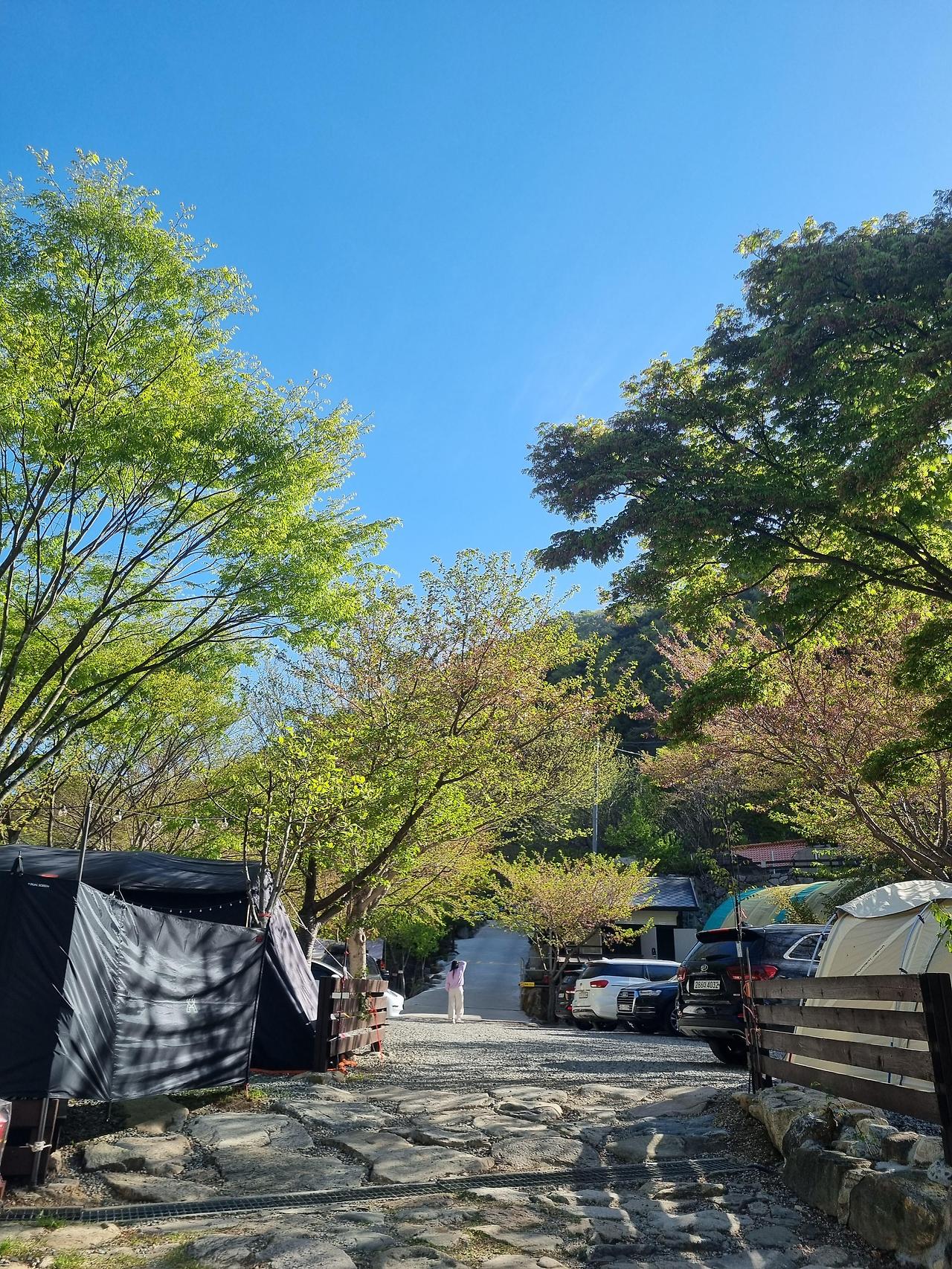 경남 캠핑 양산 캠핑 캠핑13 양산 무릉도원 오토 캠핑장