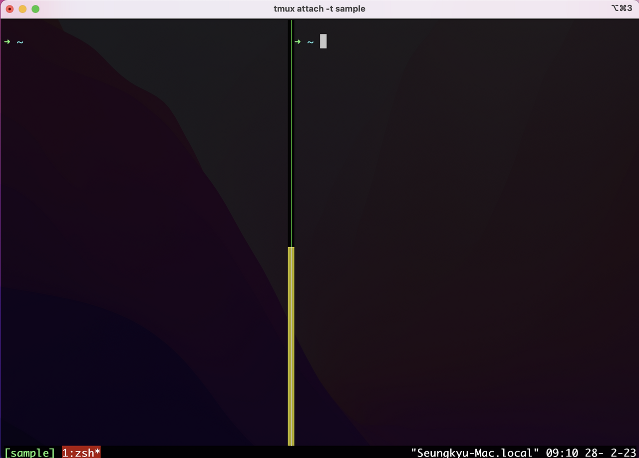 안승규의 블로그 (Stay hungry, stay foolish) :: (tmux) 터미널을 효율적으로 사용하기 (2/2)