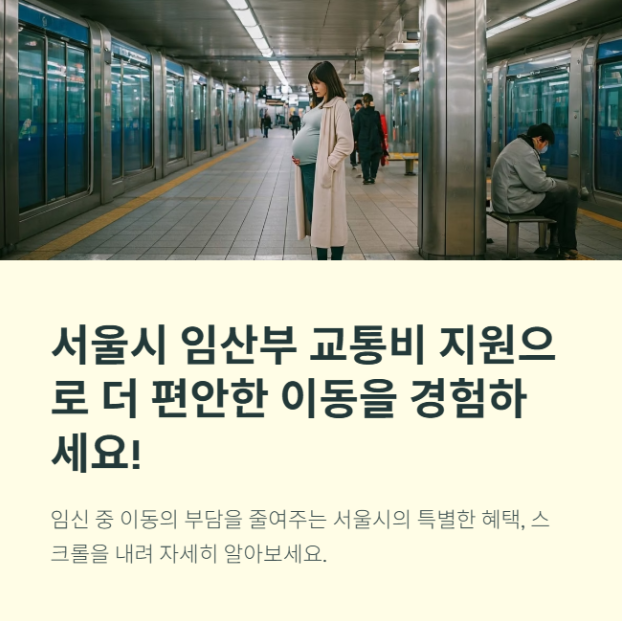 서울시 임산부 교통비 지원금 신청 총정리 대상 금액 절차 안내