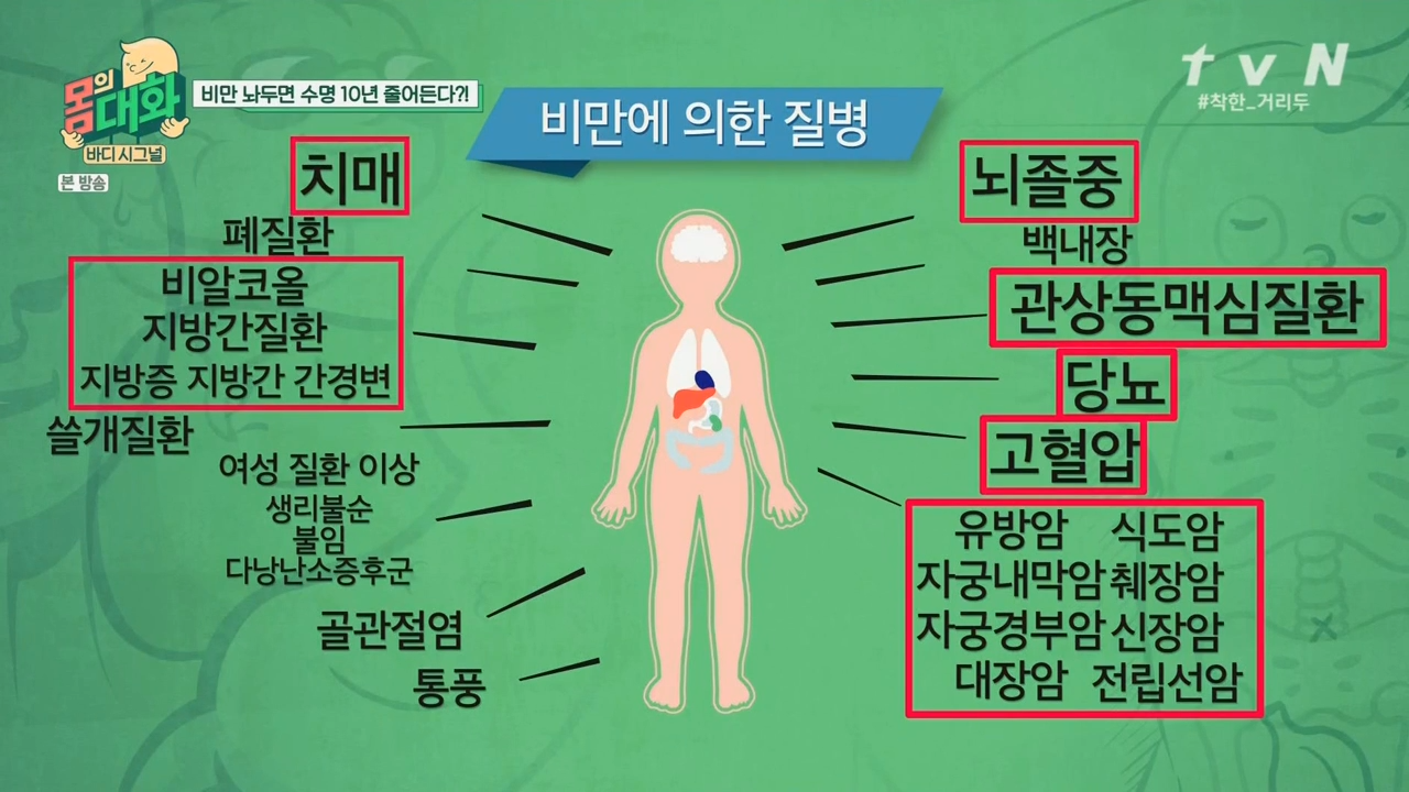 몸의대화 포만감 유전자 비만도 평가 체질량 지수 계산 비만에 의한 질병