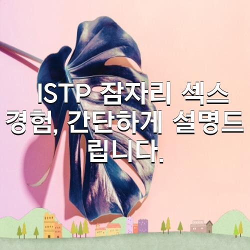Istp 잠자리 섹스 경험 간단하게 설명드립니다