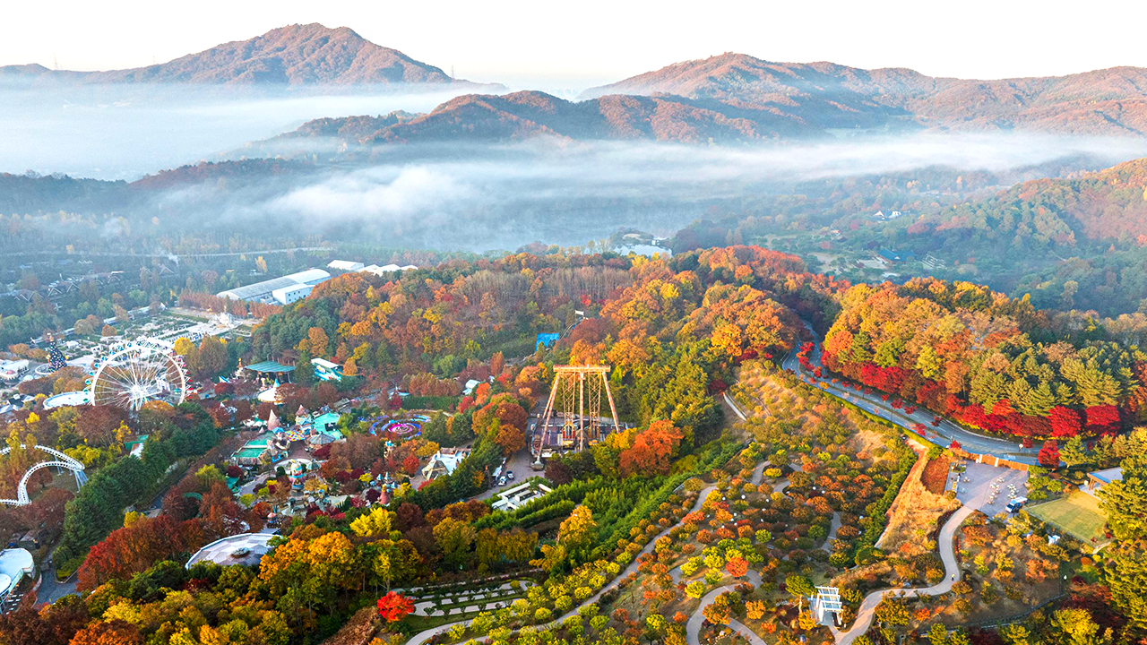 가을 느낌 한아름🍁 에버랜드 가을 배경화면 모음zip