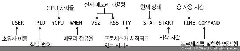 Linux 📚 프로세스 관리 명령어 💯 정리 Ps Top Fg Bg Kill Nice