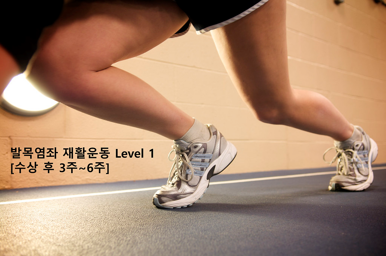 정형외과전문의 발목관절 발목 염좌 재활운동 1단계 수상 후 3 6주