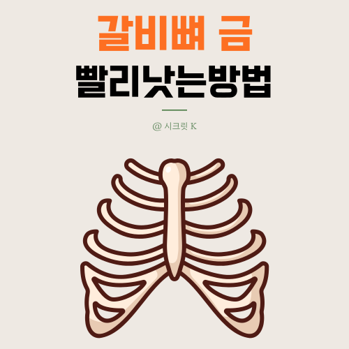 갈비뼈 금이갔을때빨리낫는법 골절 증상 치료
