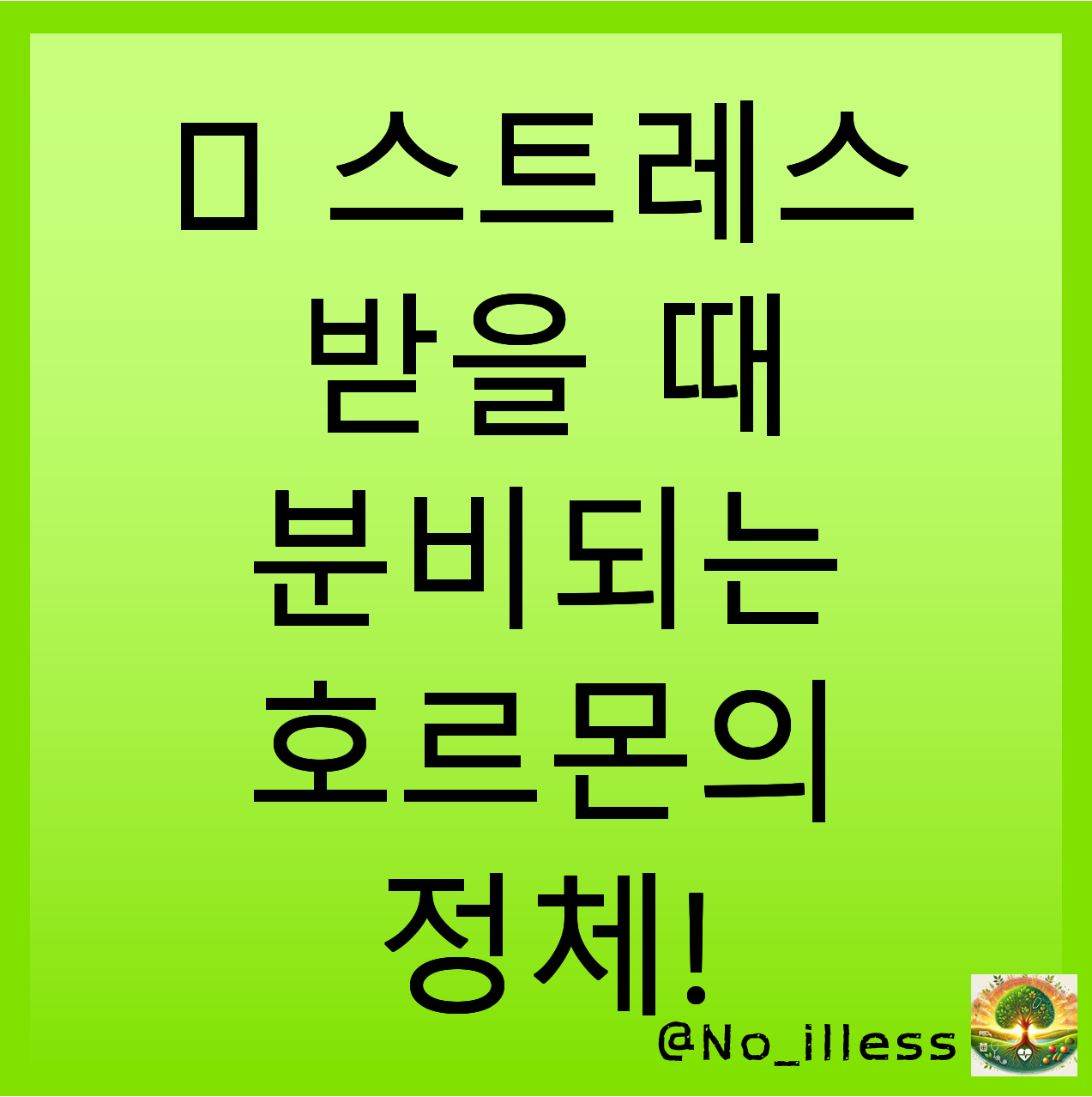 건강의학 🧬 스트레스 받을 때 분비되는 호르몬의 정체