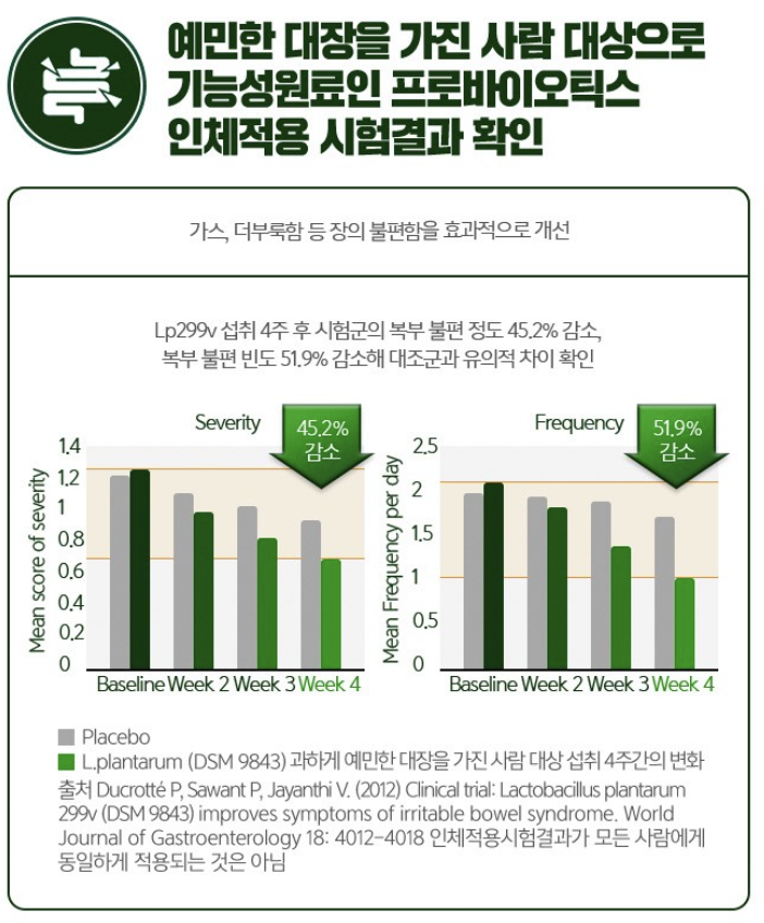 프로바이오틱스 유산균이란 유산균 종류와 효능 알아보기