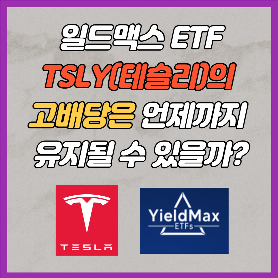 TSLY의 고배당은 언제까지 지속될 수 있을까?(feat.TSLY 파헤치기)