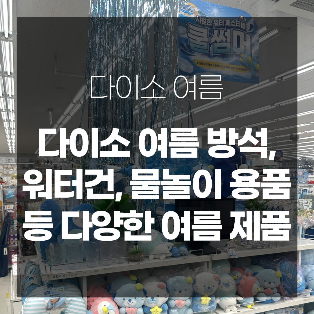 다이소 여름 제품 여름 방석 워터건물총 물놀이 용품 손선풍기 등 다양한 다이소 제품 구경하세요 Storyon