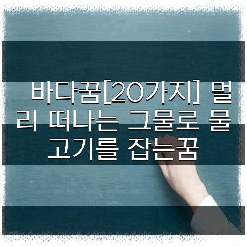 바다꿈 20가지 멀리 떠나는 그물로 물고기를 잡는꿈