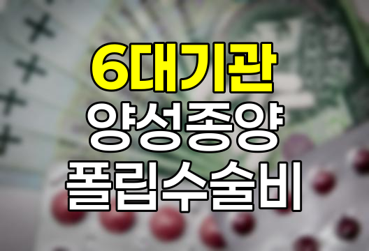 Kb손해보험 6대기관 양성종양 및 폴립수술비 저비용 고효율 보장의 혁신 메모리유