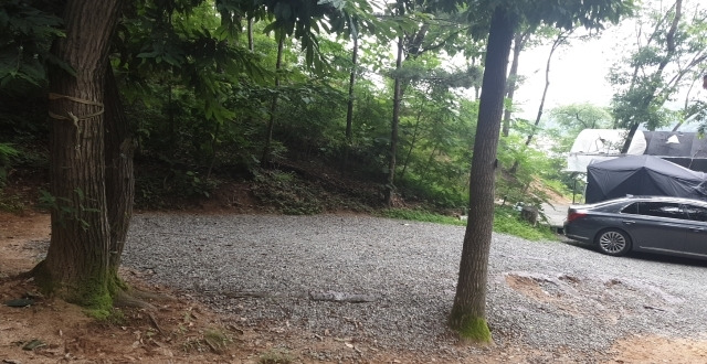 경기 양주 양주그린캠프 예약 방법 애견 동반 가격 주소 시간 후기 댕댕캠핑 전국 애견동반 캠핑장