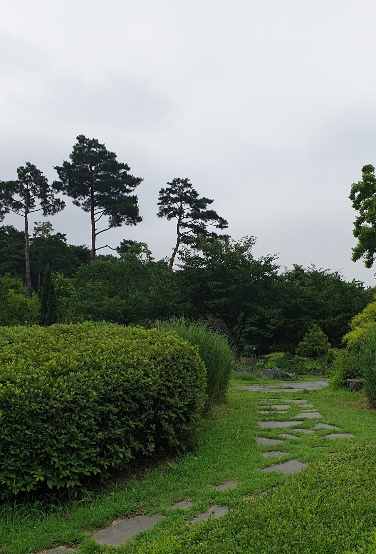 시문학 윤동주 시 모음서시 별 헤는 밤 반디불 새로운 길 자화상 참회록 코스모스 달같이 쉽게 씌여진 시