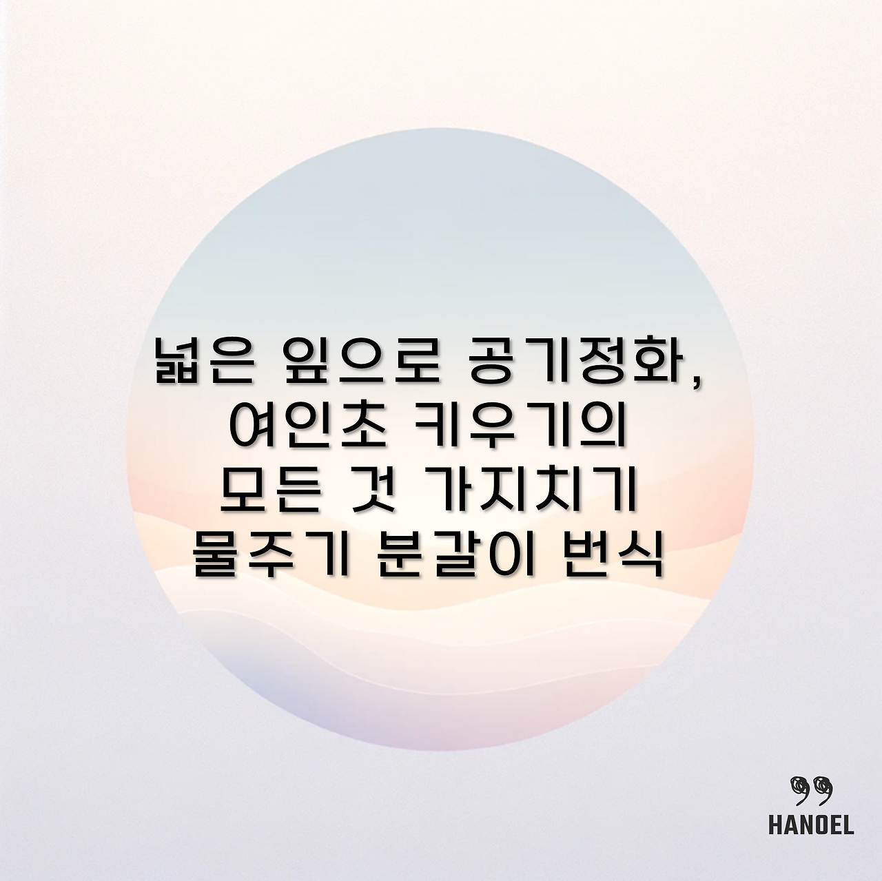 넓은 잎으로 공기정화 여인초 키우기의 모든 것 가지치기 물주기 분갈이 번식