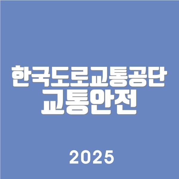한국도로교통공단 교통안전 교육센터 (https://trafficedu.koroad.or.kr/)
