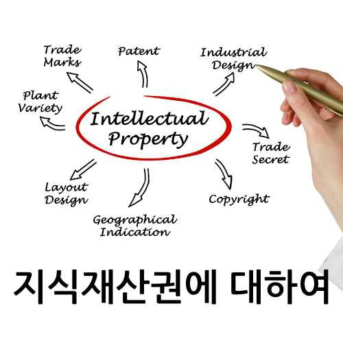 지식재산권 종류 침해 사례와 처벌부정경쟁방지법특허권 상표권 디자인권 등