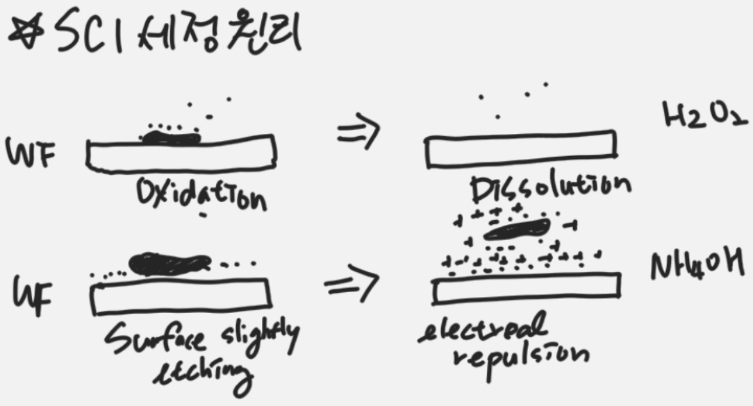 반도체 8대 기술 - CLEAN 공정 SC1