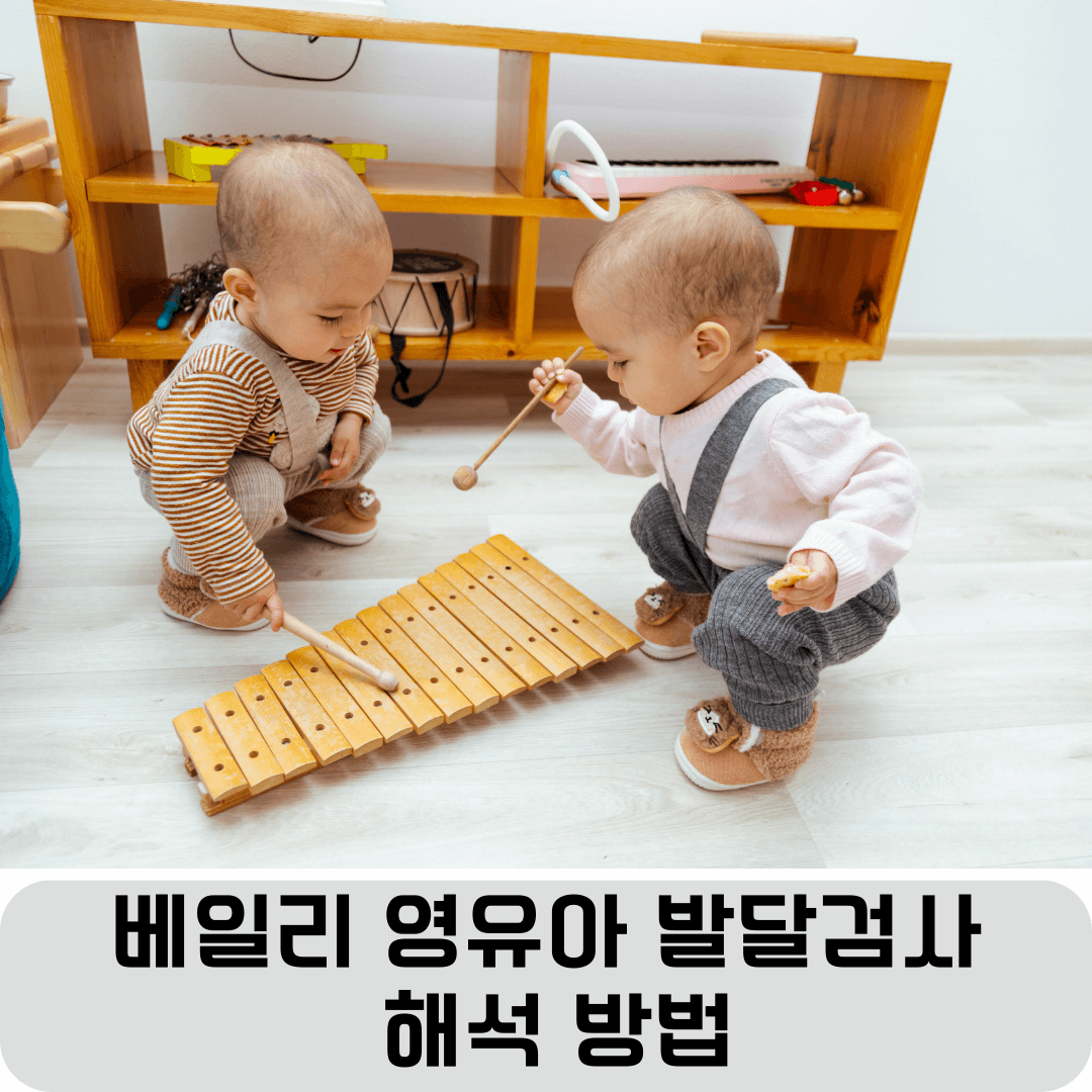 베일리 영유아 발달검사 결과 해석 방법