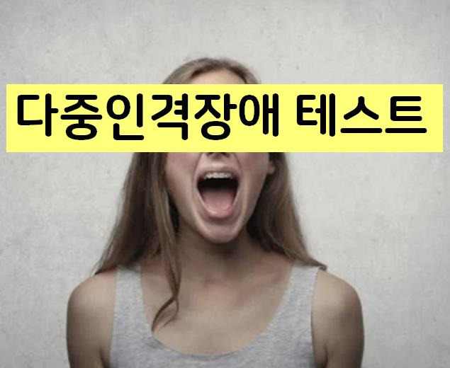 다중인격장애 테스트 자가진단 검사 스터디업