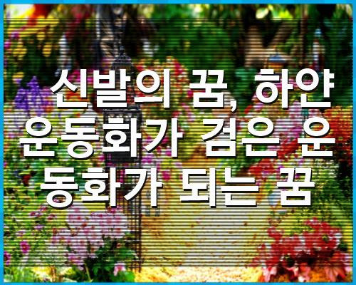 신발의 꿈 하얀 운동화가 검은 운동화가 되는 꿈