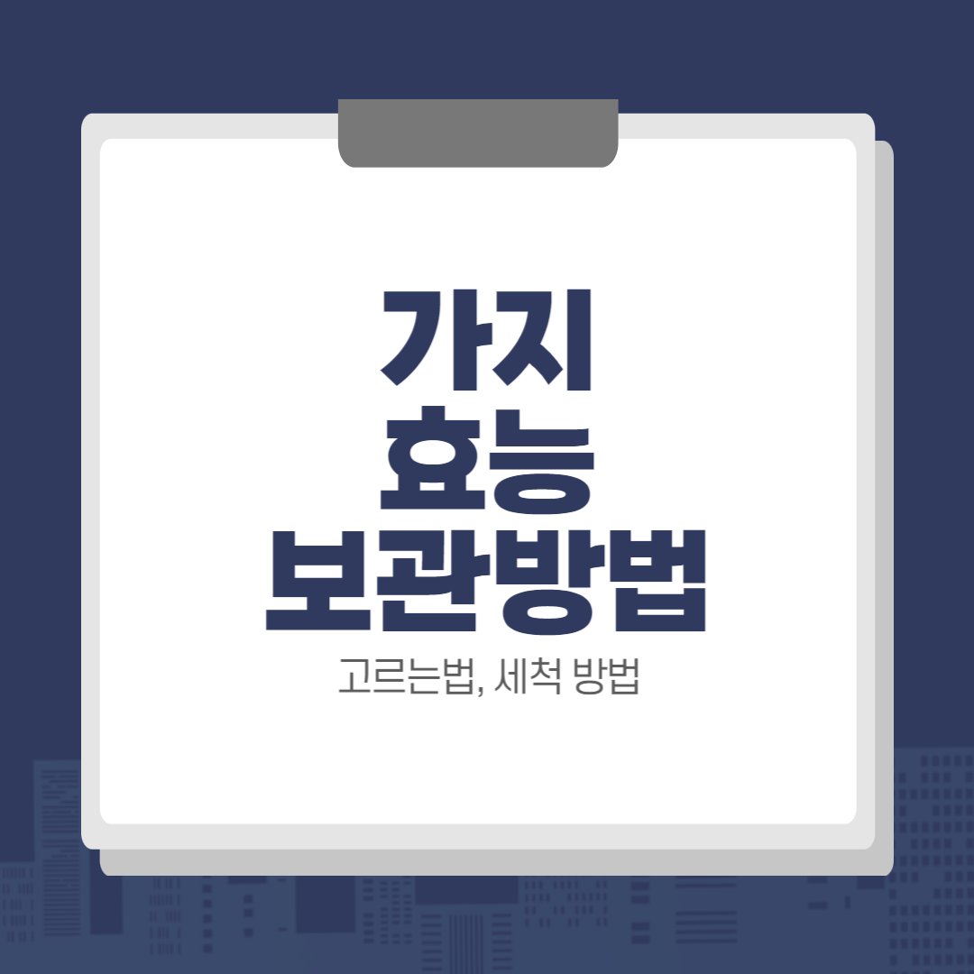 가지 보관방법 및 고르는법 총정리 세척 방법 가지 효능