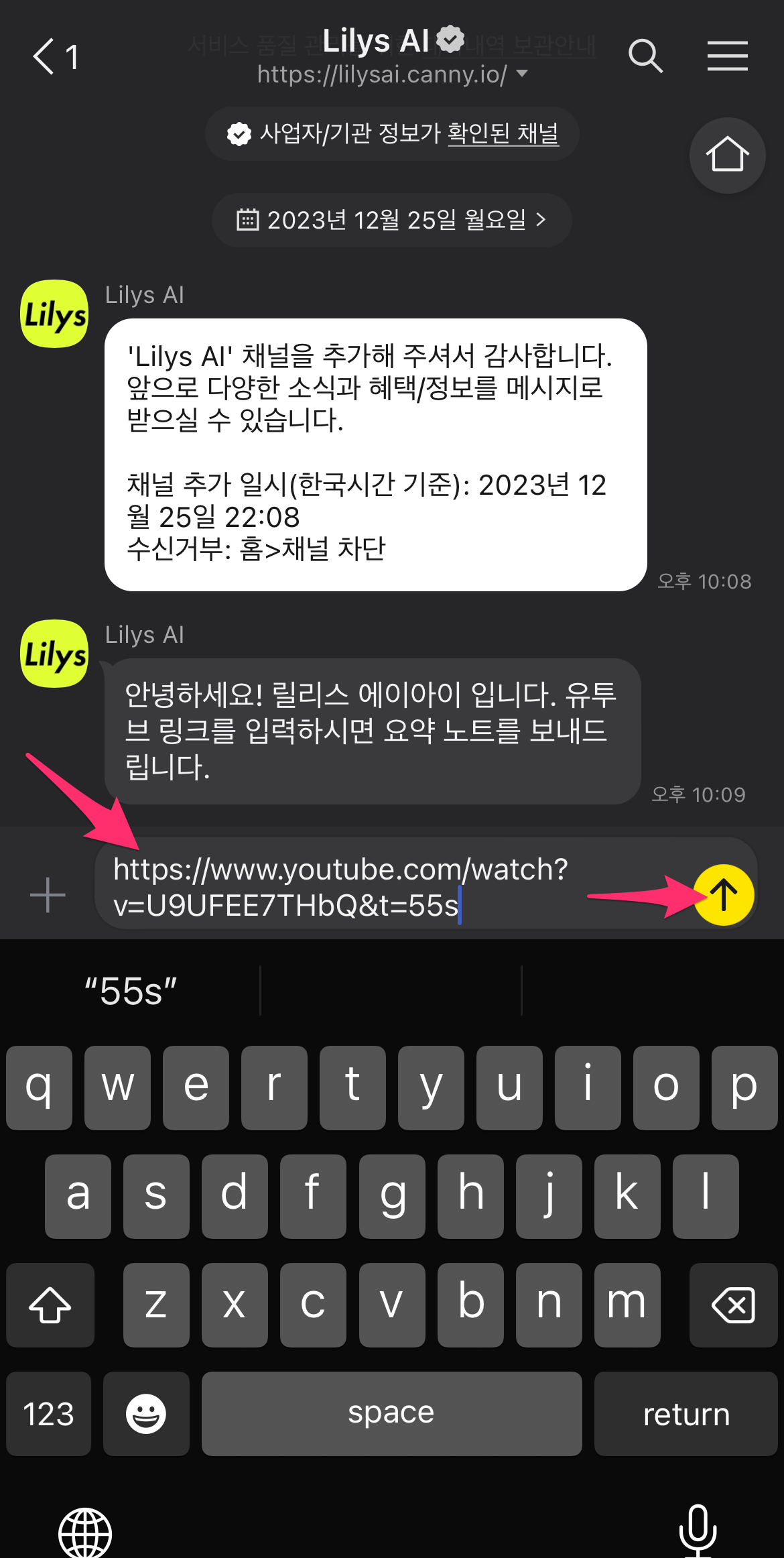 Lilys Ai - 유튜브 요약하기