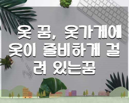 옷 꿈 옷가게에 옷이 즐비하게 걸려 있는꿈