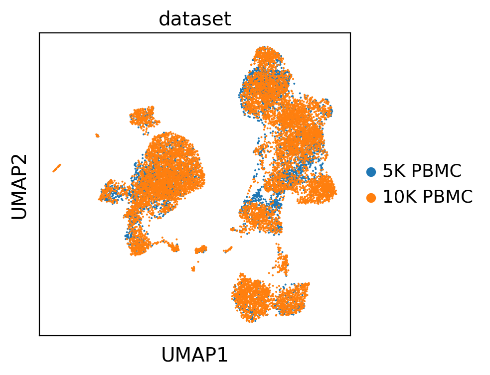 Single Cell Analysis Best Practice 정리해보기