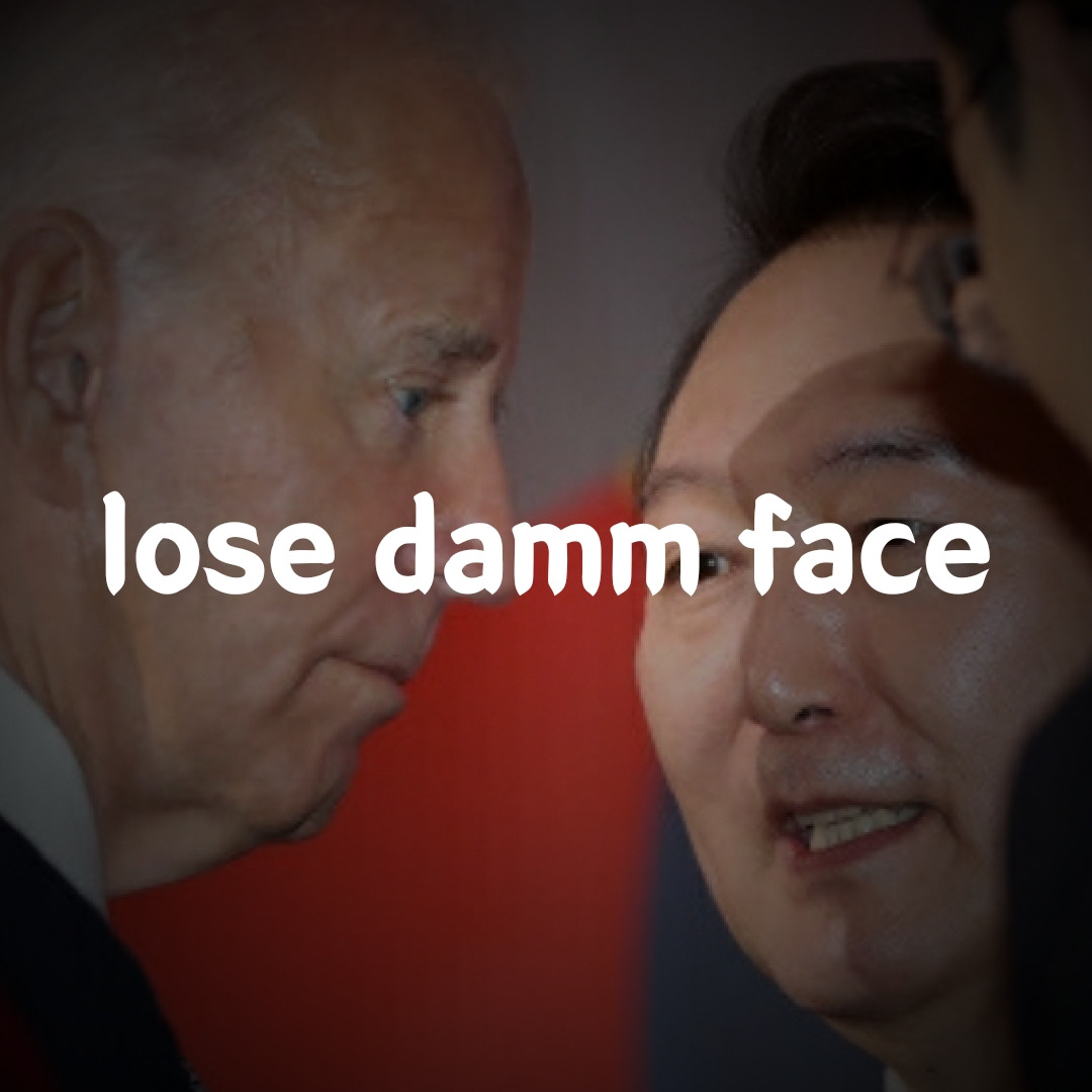 lose damm face 뜻 과 의미(damm)