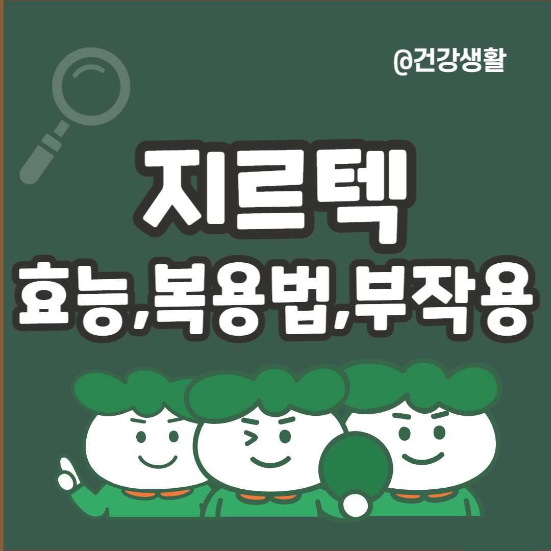 알레르기비염약 지르텍 효능 복용법 부작용 세티리진염산염