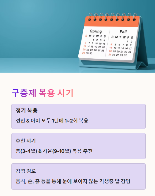 구충제 복용시기 And 복용법 언제 어떻게 먹어야 효과적일까