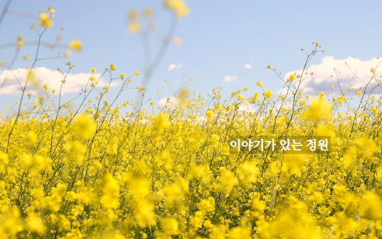 정적 정서①행복의 개념 정서의 기준과 행복의 비교 만족하는 삶을 사는 사람들의 특징 주관적 안녕 Subjective