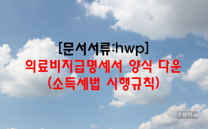 문서서류hwp 의료비지급명세서 양식 다운 소득세법 시행규칙