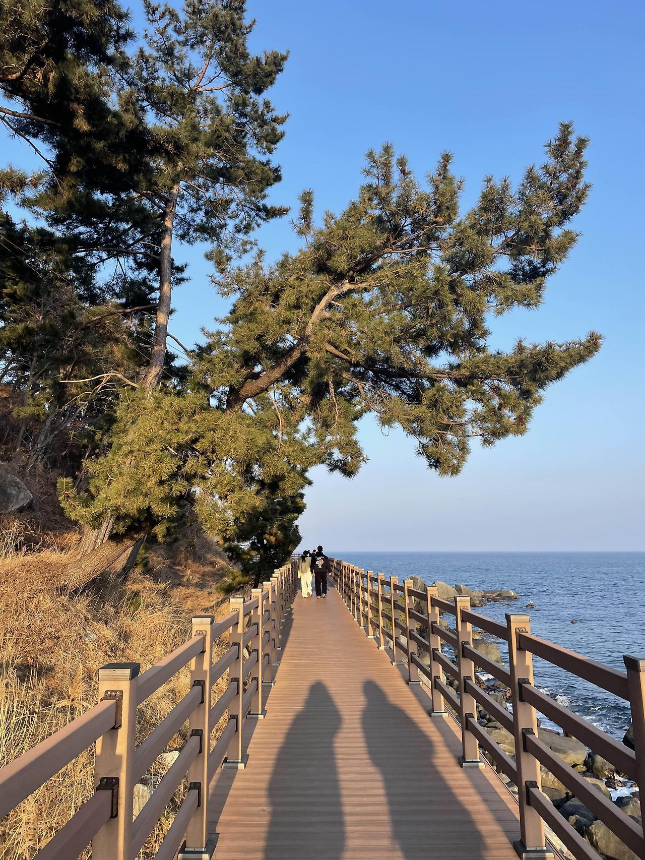 속초에서 가장 좋았던 ‘외옹치바다향기로 산책 후기
