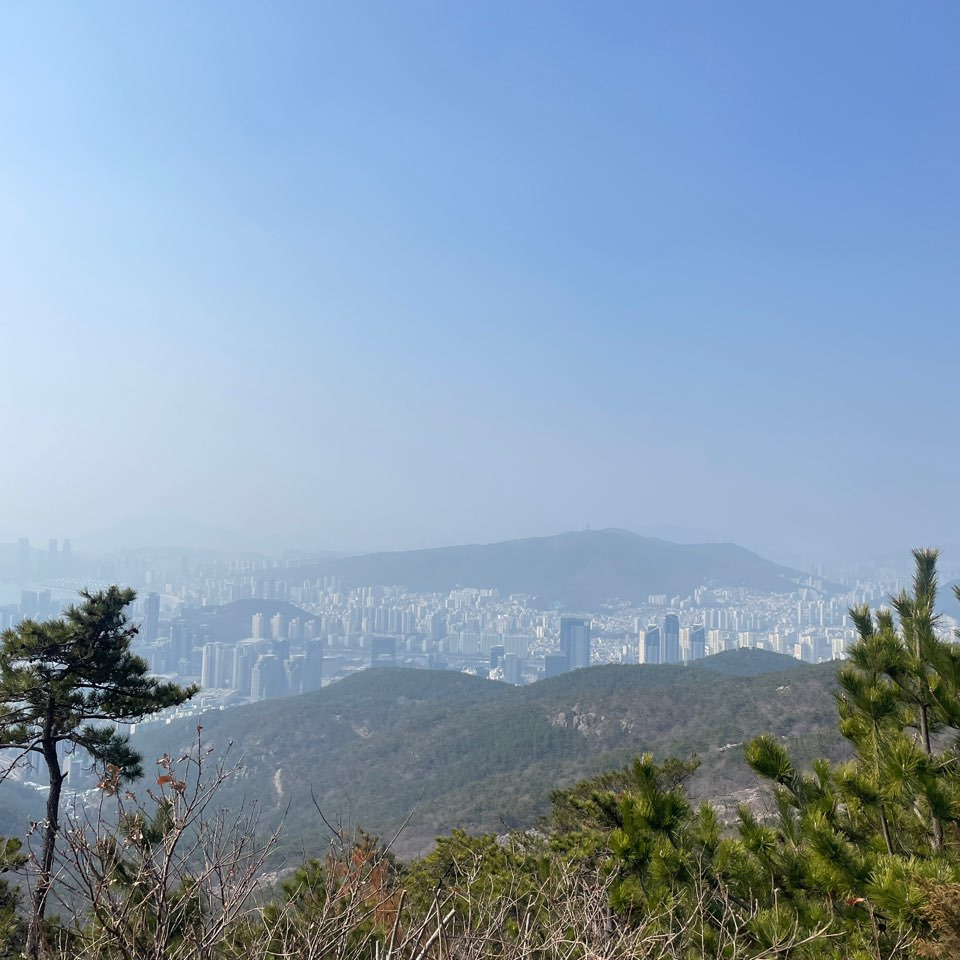 650칼로리 타파가능한 부산 해운대 장산 등산코스 왕복3시간주차안내 정불리의하루