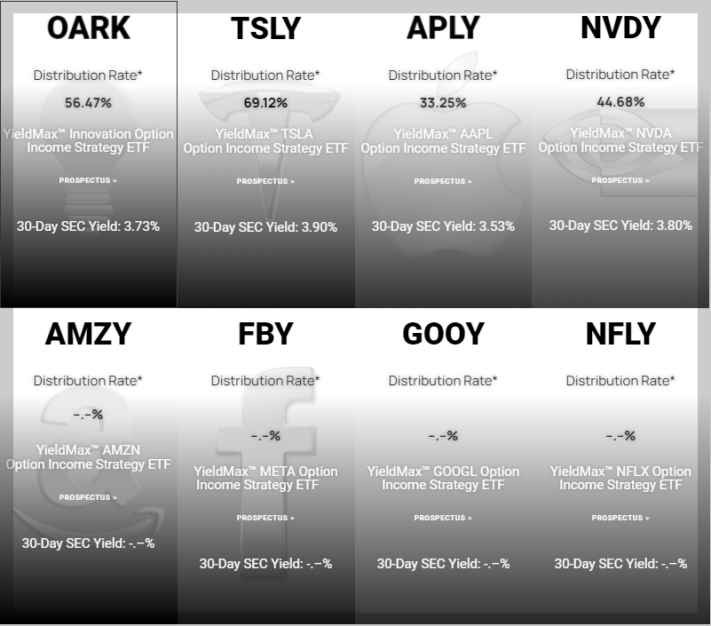 TSLY의 고배당은 언제까지 지속될 수 있을까?(feat.TSLY 파헤치기)