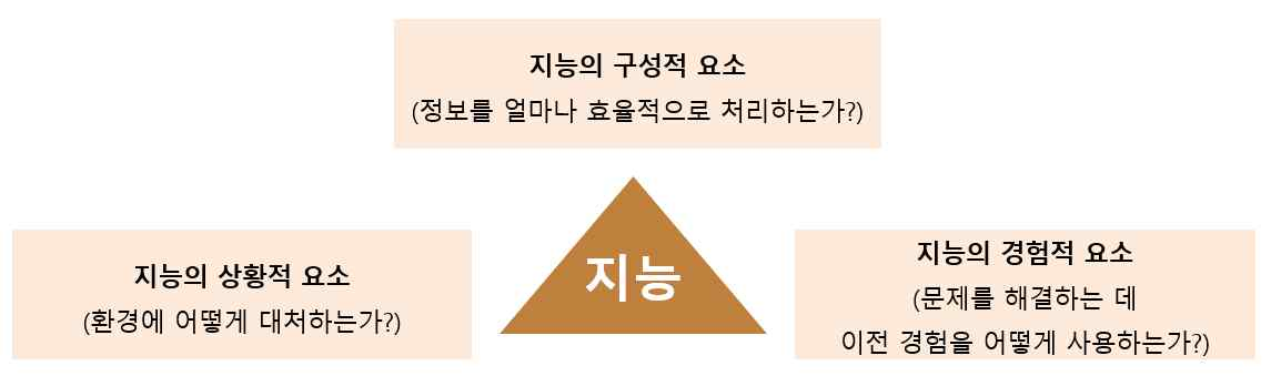 유아교육학과 유아교사 보육교사 유치원 필수과목 유아발달 핵심 요점 정리 40장 유아기 지능발달 이론