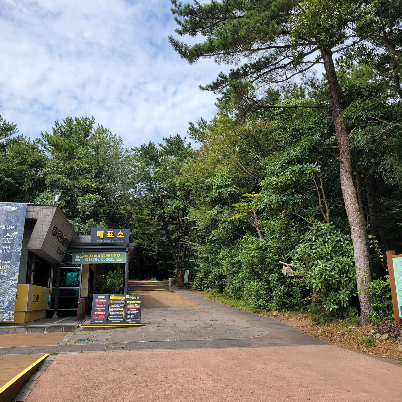 제주도 서귀포시 트래킹 산책 할만한 곳 후기