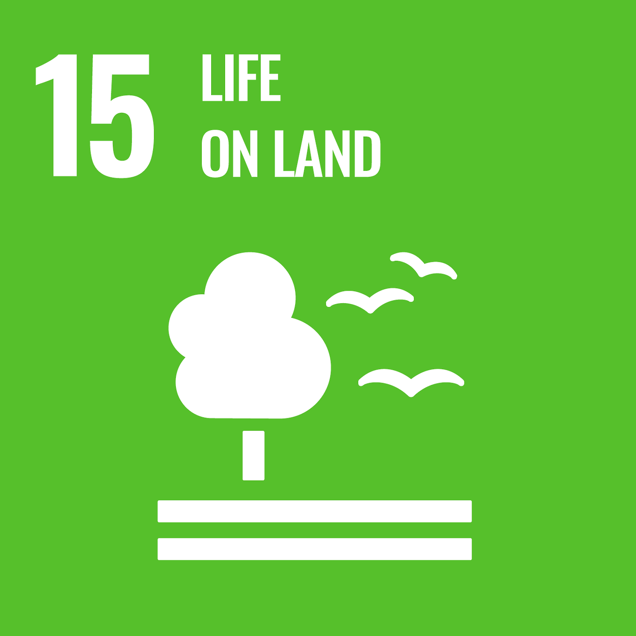 Un Sdgs 설명 목표15 육상 생태계 보호 육상생태계의 지속가능한 보호ㆍ복원ㆍ증진 숲의 지속가능한 관리 사막화
