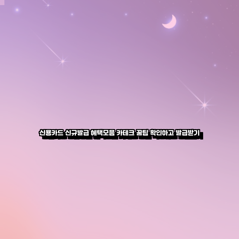 신용카드 신규발급 혜택모음 카테크 꿀팁 확인하고 발급받기 효능연구원