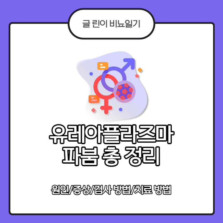 유레아플라즈마 파붐 총 정리
