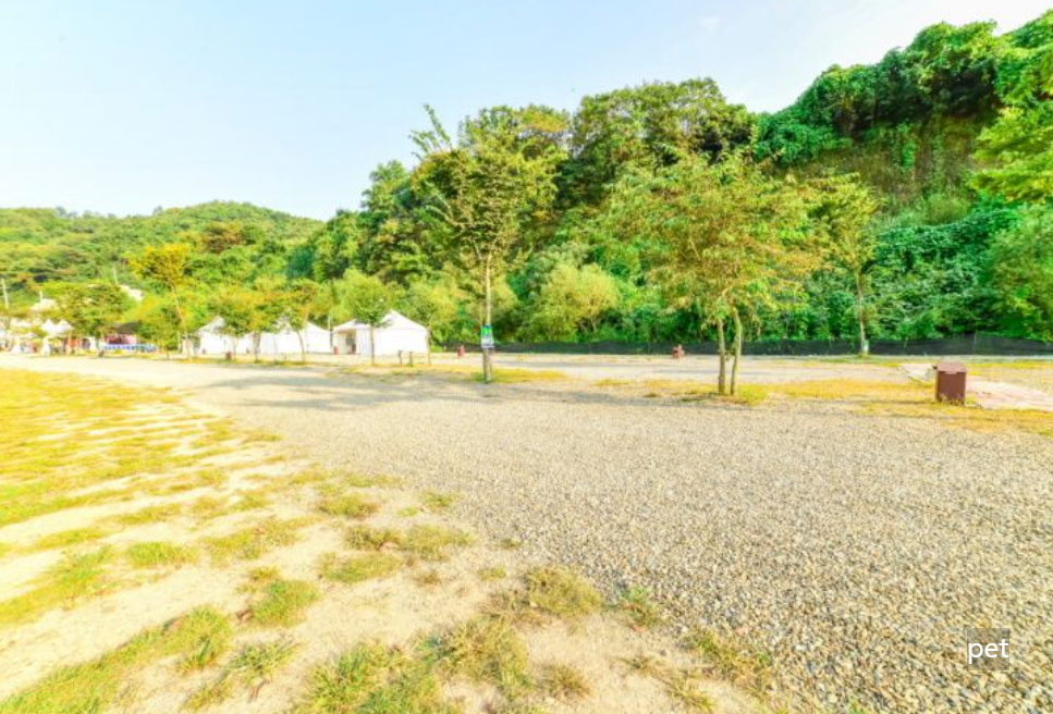 경기 연천 연천 물꽃캠핑장 예약 방법 애견 동반 가격 주소 시간 후기 댕댕캠핑 전국 애견동반 캠핑장