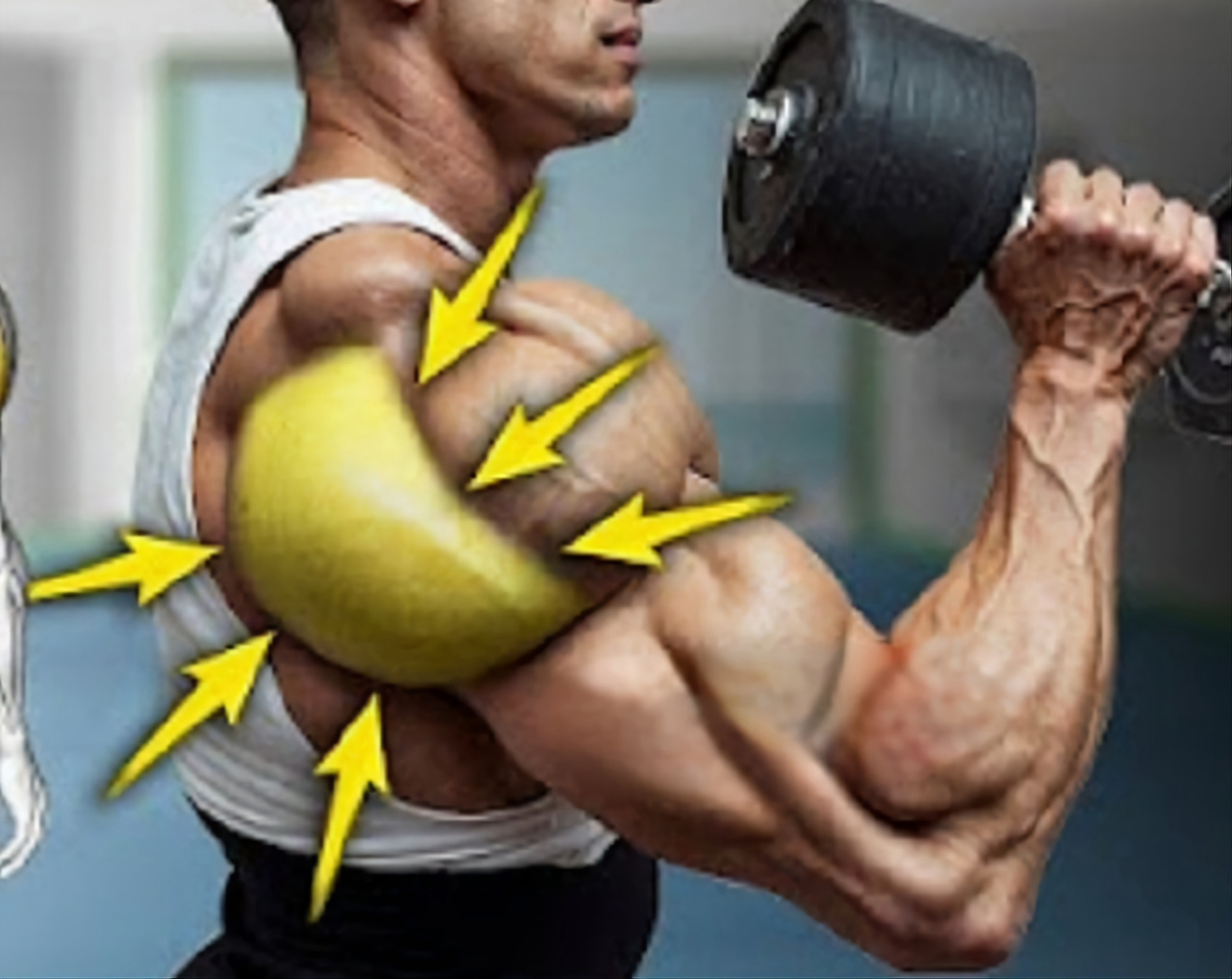 14 . 케이블 크로스 오버 레이즈( Cable Overhead Raises)