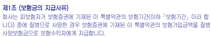 삼성화재 함께가는 요양건강보험 질병 사망 특별약관
