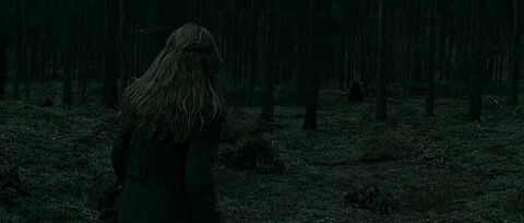 [Harry Potter] – Harry Potter and the Deathly Hallows - Summary Part 10 ...