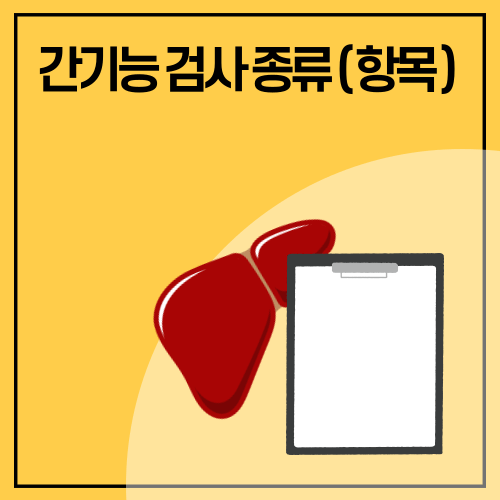 간기능 검사 항목과 정상수치 결과 Ast Alt Alp 간기능 검사 8종